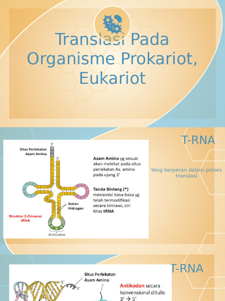 Salinan Materi 4.biomol Translasi 2024 | PDF | Sains & Matematika