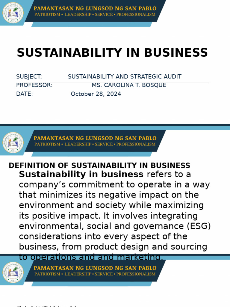 Sustainability and Strategic Audit Oct. 28 | PDF | Sustainability | Economies