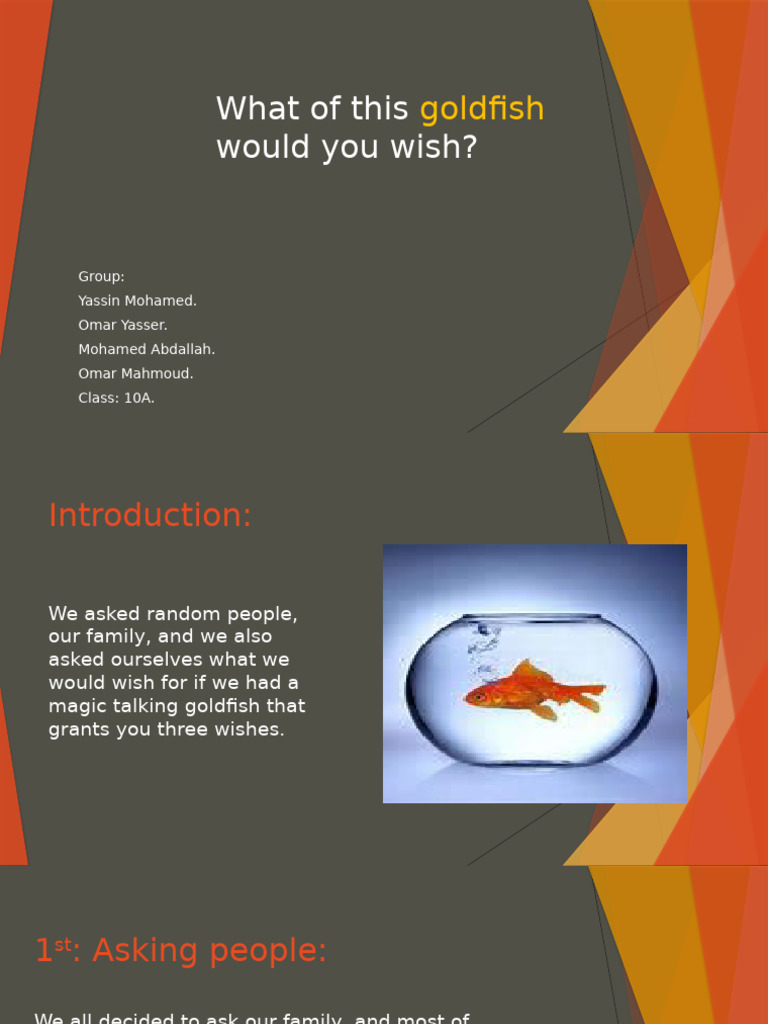 What of This Goldfish Would You Wish | PDF