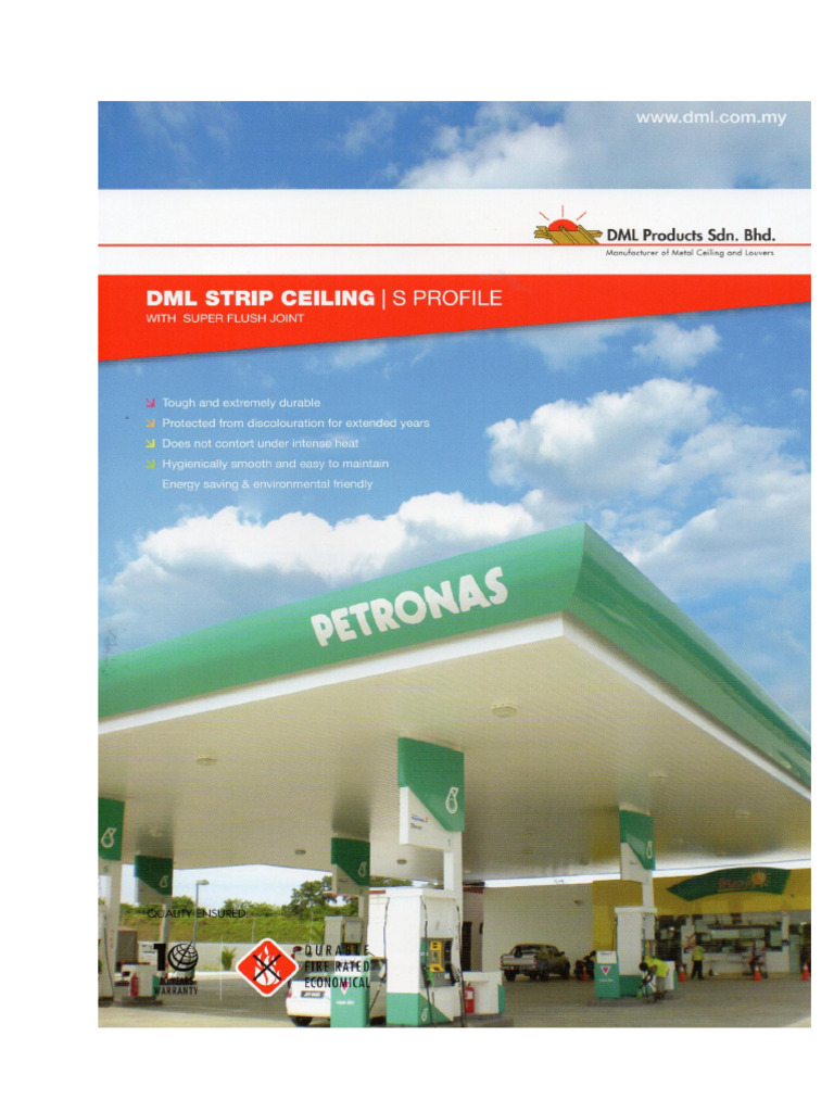 DML S Profile | PDF