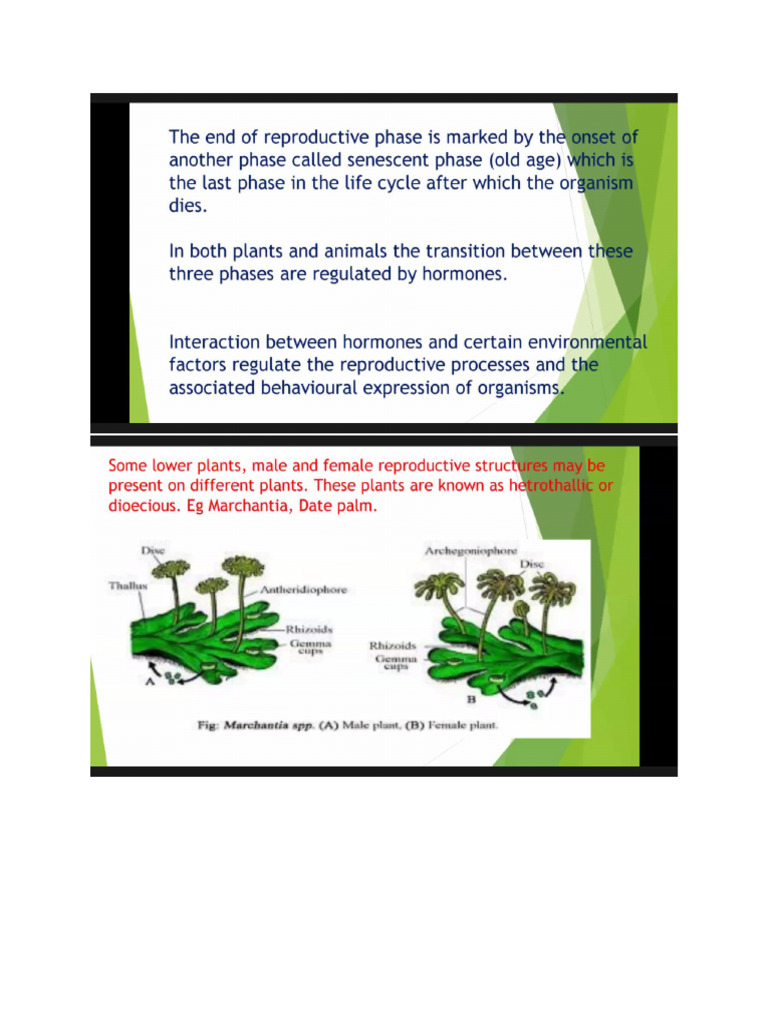 Botany | PDF