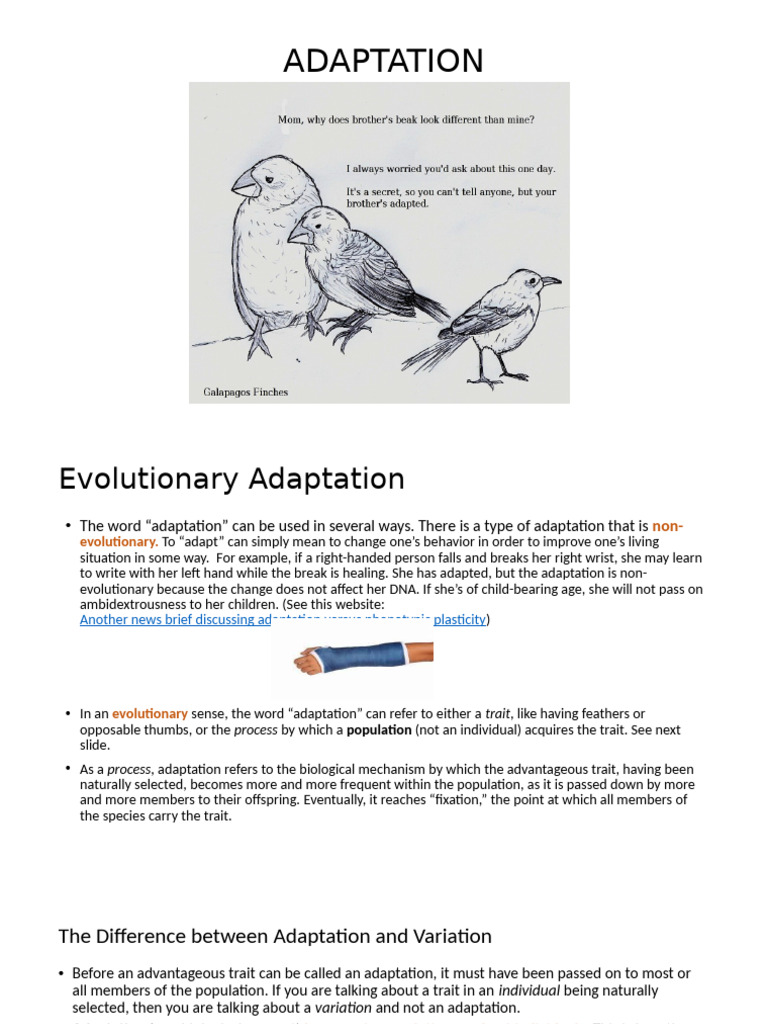 Adaptation - Powerpoint-4 | PDF | Natural Selection | Evolution