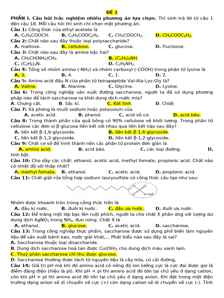 Đáp Án 7 Đề Ôn Thi GK1 | PDF