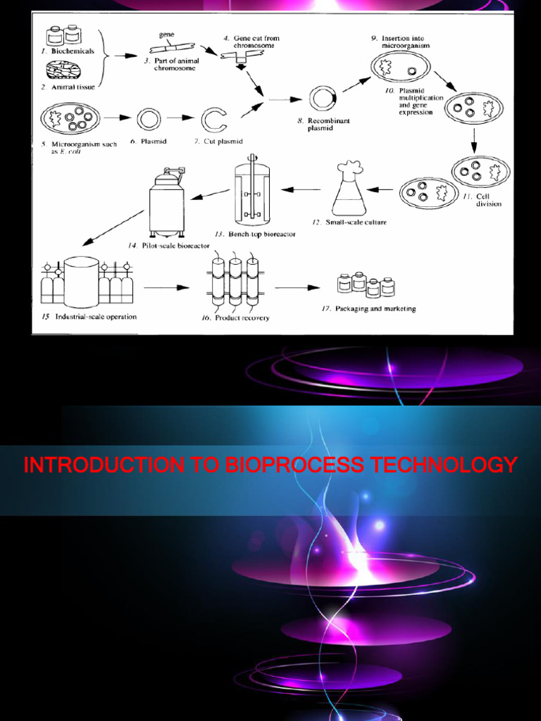 Overview of Bioprocess Technology Steps | PDF | Biotechnology | Life ...
