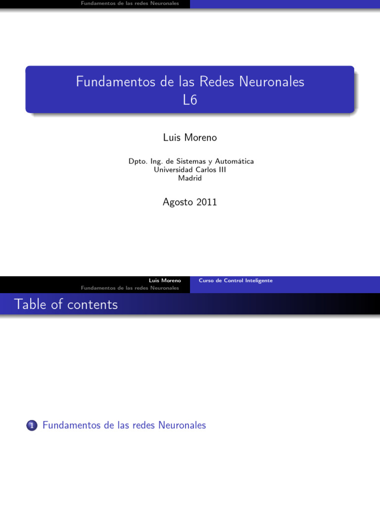 C I L6 Fundam Redes Neuronales | PDF | Red neuronal artificial | Neurona