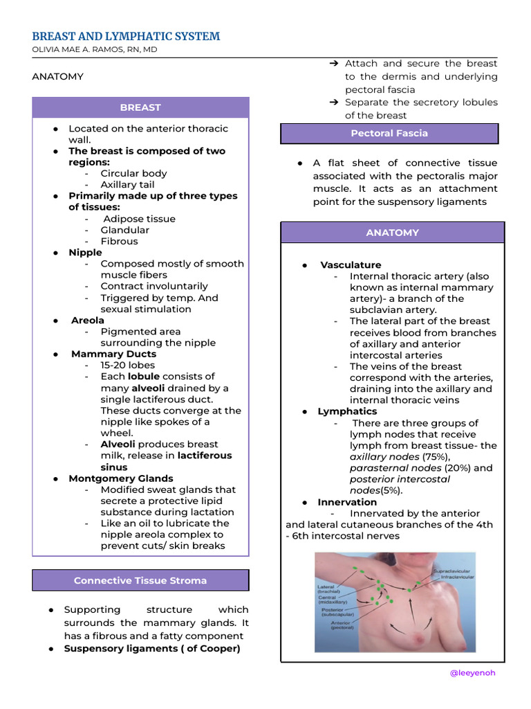 Lymphatic | PDF | Breast | Nipple
