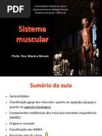 Nomes de 100 Músculos Do Corpo Humano | PDF | Sistema Locomotor ...