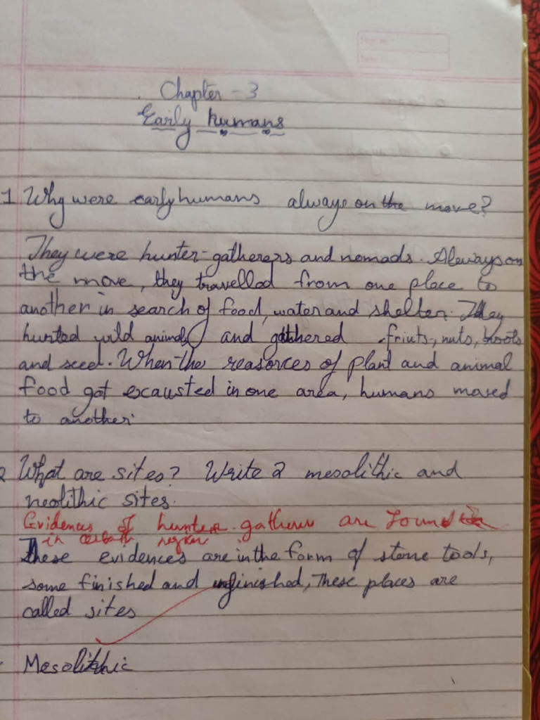 6 TH SS Class Notes Early Humans | PDF