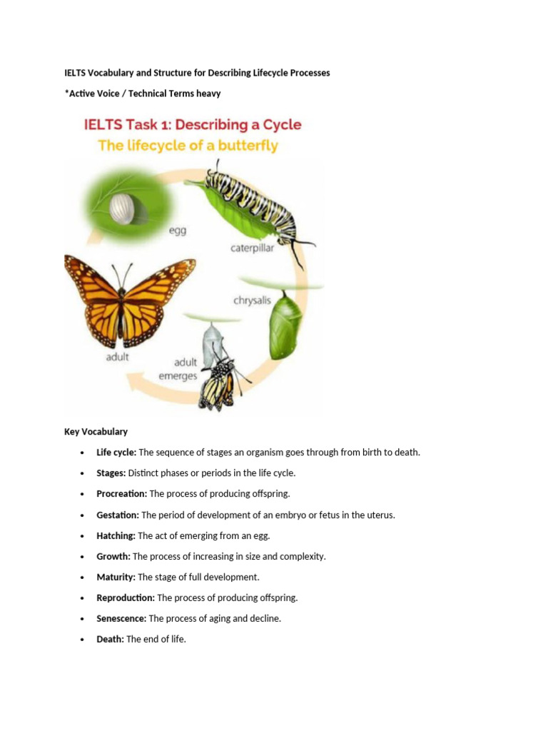 IELTS Vocabulary and Structure For Describing Lifecycle Processes | PDF ...