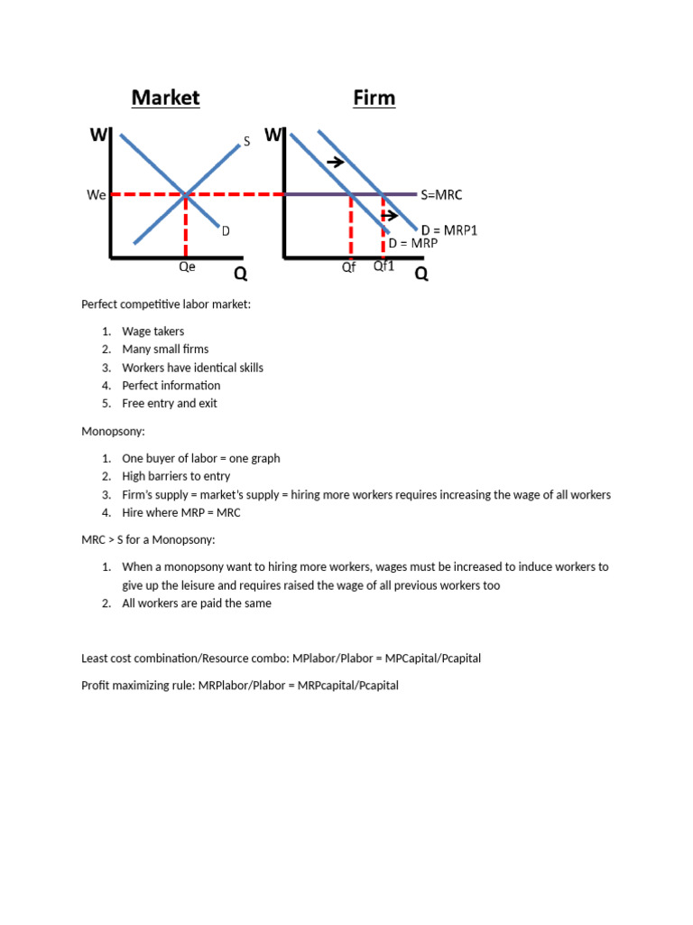 Perfect Competitive Labor Market | PDF