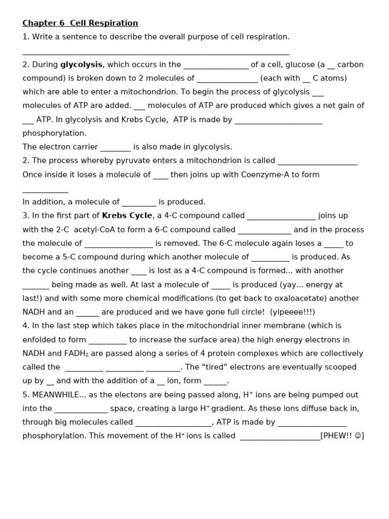Chapter 6 Cell Resp Worksheet - Fill in The Blanks | PDF