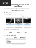 Unit 5 Revision Worksheet | PDF | Light