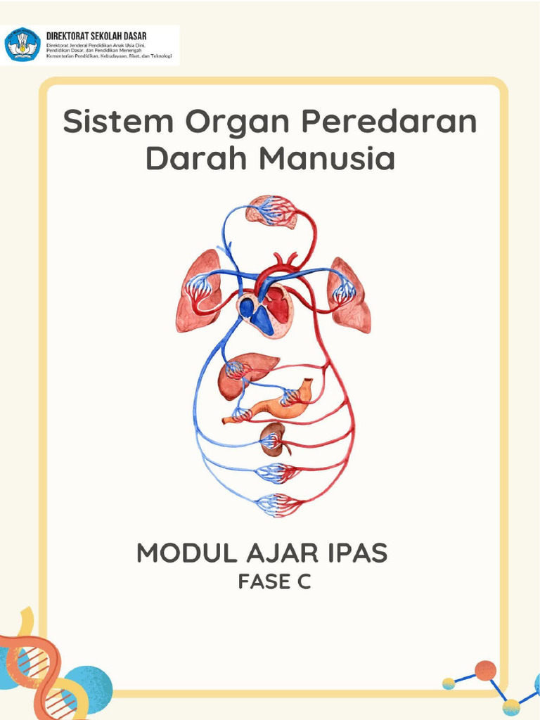 Modul Ajar Ilmu Pengetahuan Alam Dan Sosial (IPAS) - Sistem Peredaran Darah Pada Manusia - Fase ...
