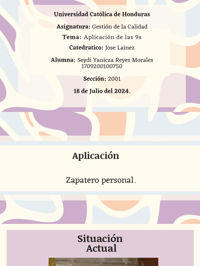 Aplicación de las 9s en Gestión de Calidad | PDF