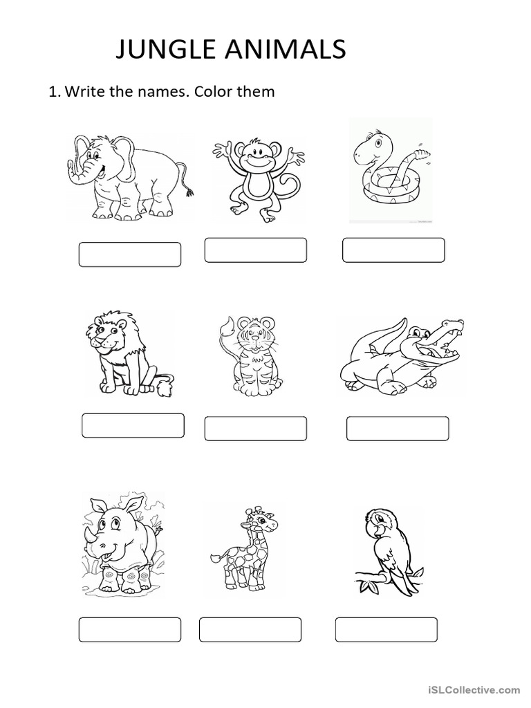 Jungle Animals | PDF