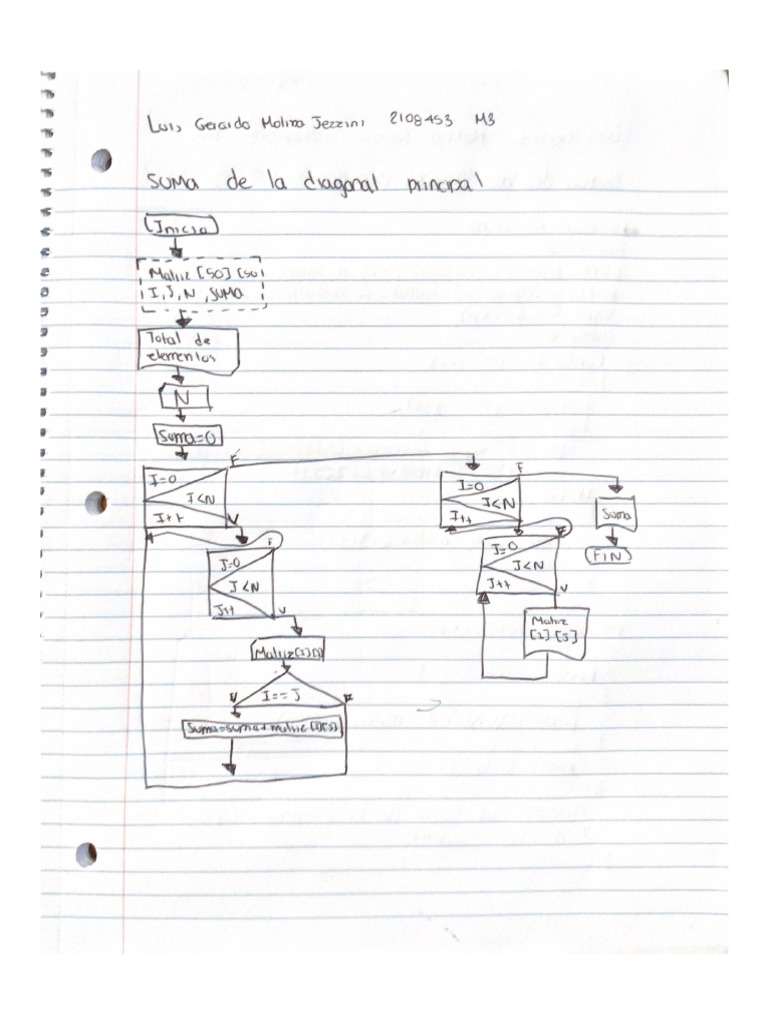 Suma de La Diagonal Principal | PDF