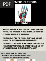 EMRA SportsMedicine Splint Guide | PDF | Thumb | Hand