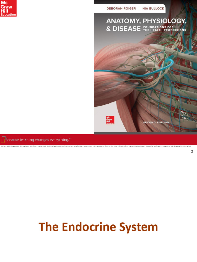 The Endocrine System 4 STUDENTS - 031754 | PDF | Endocrine System | Hormone