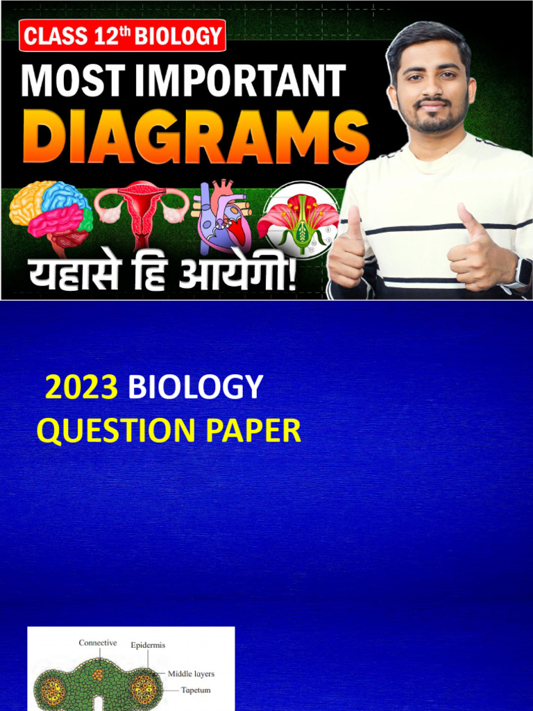 12th Bio IMP Diagrams | PDF