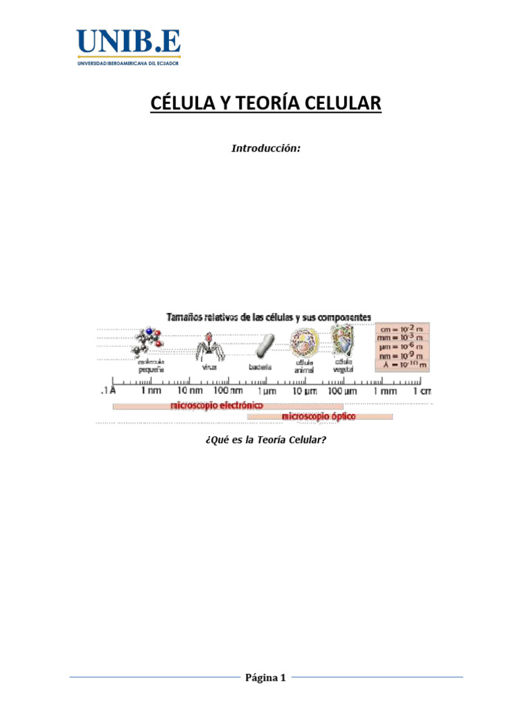 Teoría Celular y Tipos de Células | PDF | Biología Celular) | Citoplasma