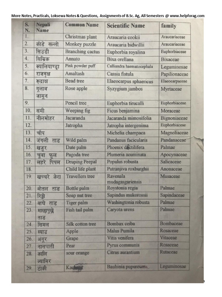Nepali Plant Names for B.Sc. Ag Students | PDF | Career & Growth ...