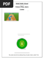 Cricket Physical-Education-Project | PDF | Games Of Physical Skill ...