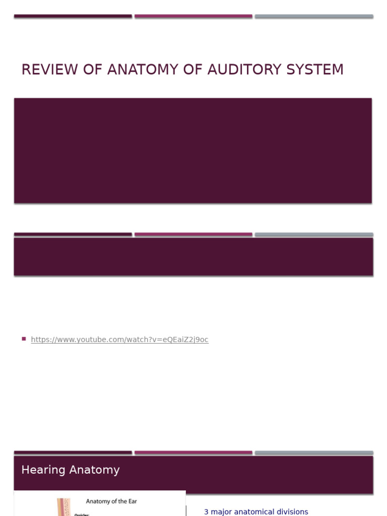 Review of The Auditory System | PDF | Ear | Auditory System