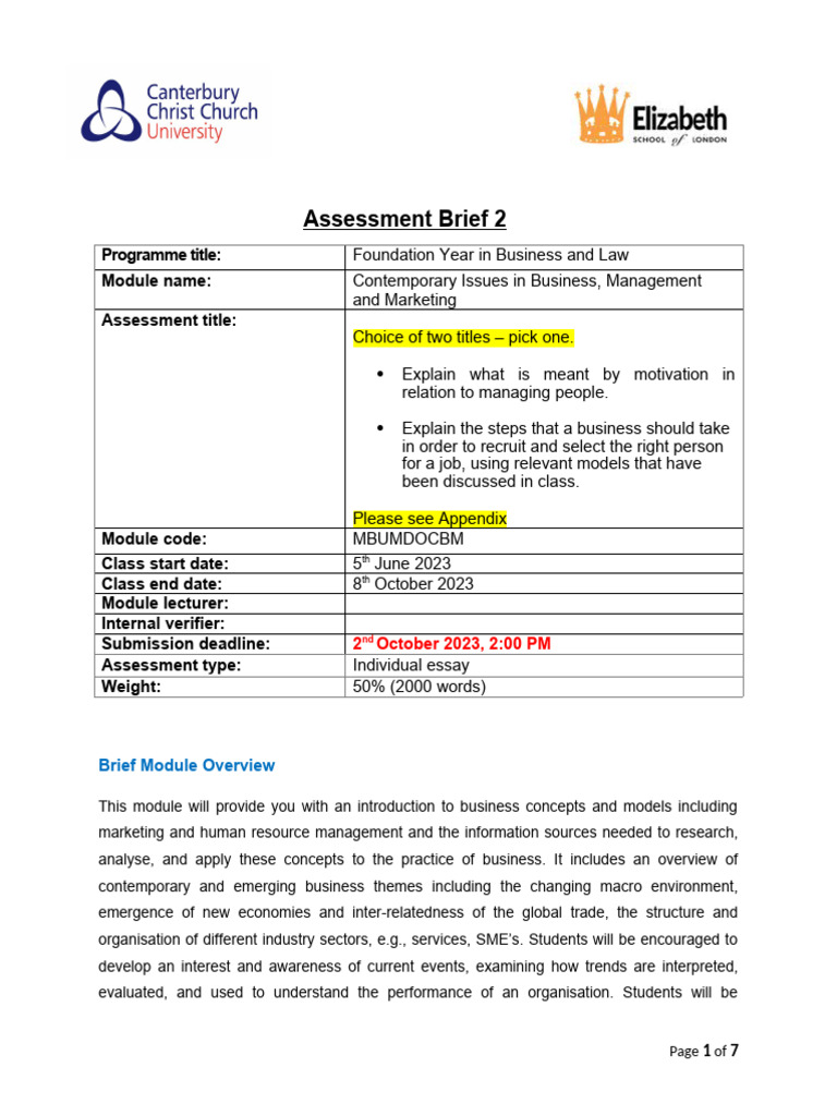 Assessment Brief 2 CIBMM - Tagged | PDF | Motivation | Motivational