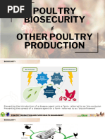 Poultry Farm Compliance Audit Checklist | PDF | Salmonella | Poultry ...