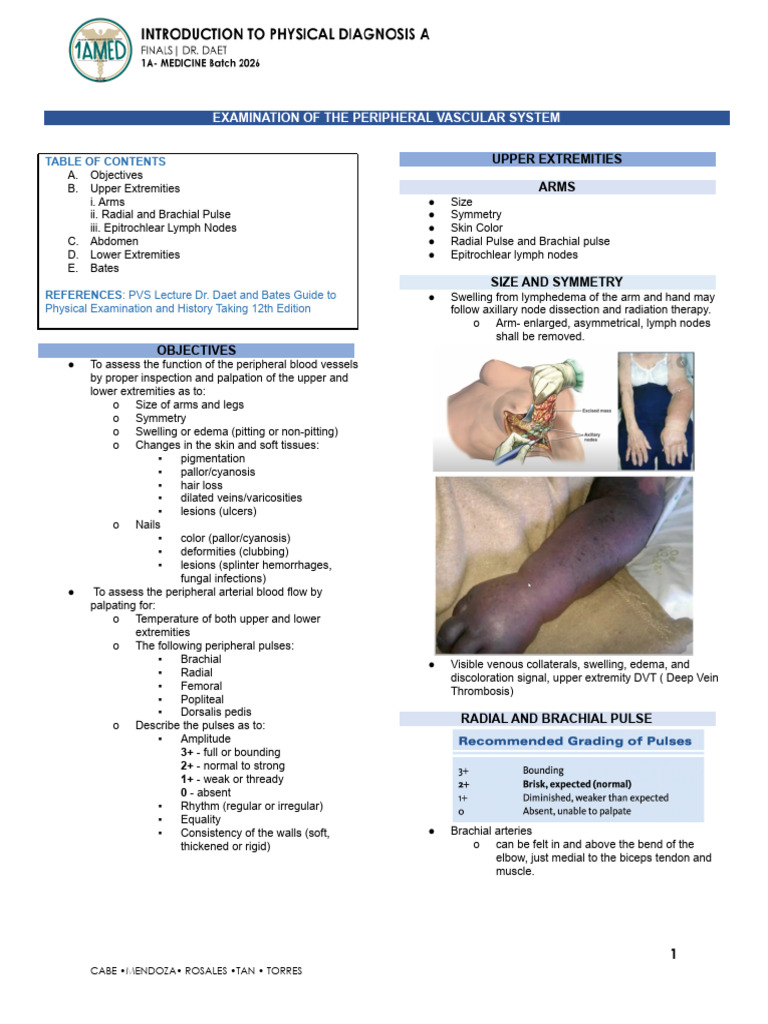 Peripheral Vascular System Exam Guide | PDF | Vein | Edema