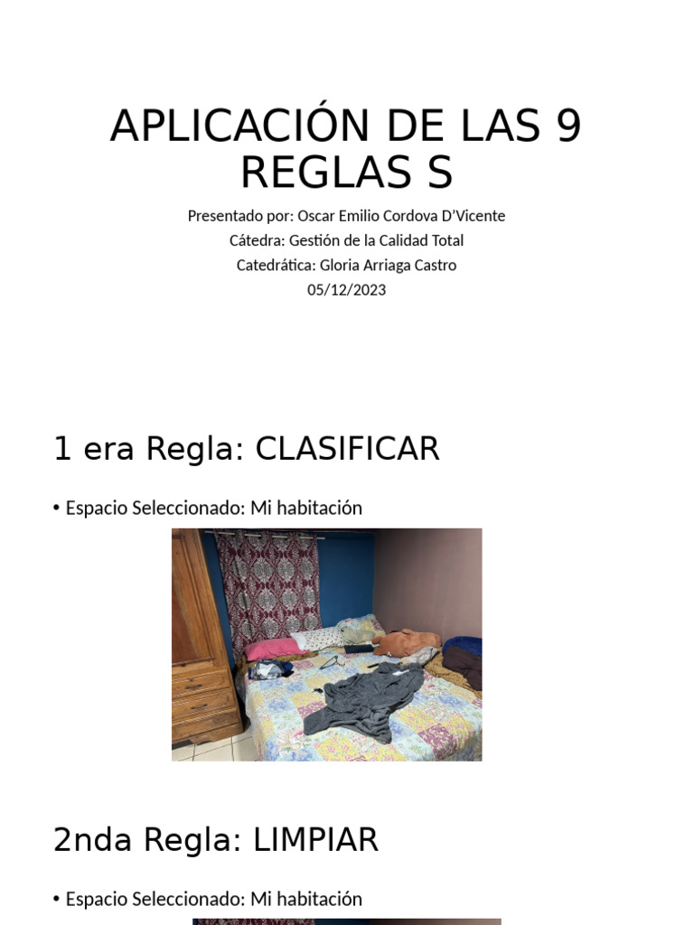 Aplicación de Las 9 Reglas S | PDF