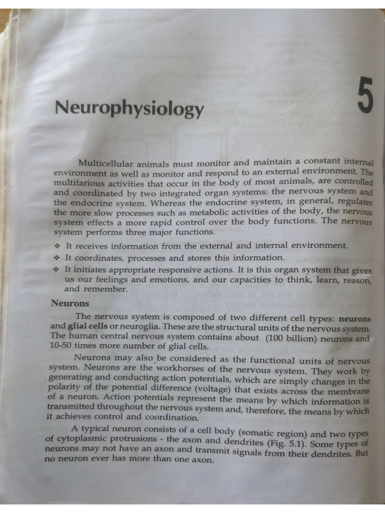 Neurophysiology | PDF