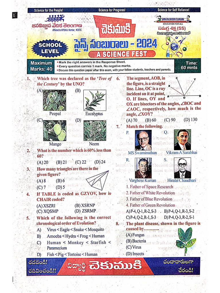 CSTT School LVL QN Paper 2024 | PDF