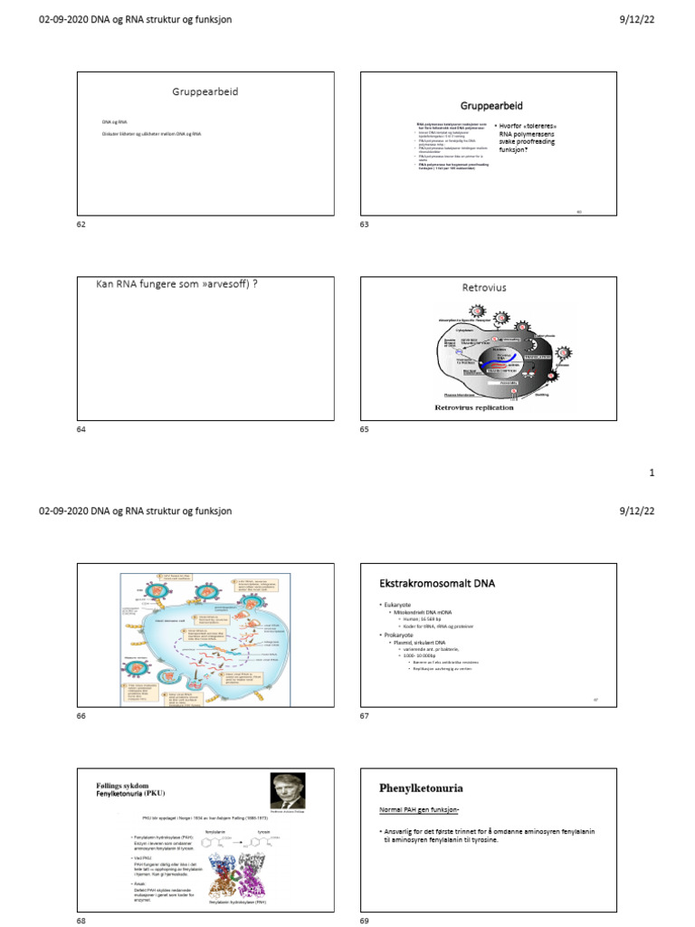 07-09-2022 DNA Og RNA. Struktur Og Funksjon. Student Aktiviserende ...