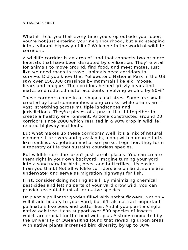 STEM- CAT SCRIPT | PDF | Pollinators | Wildlife