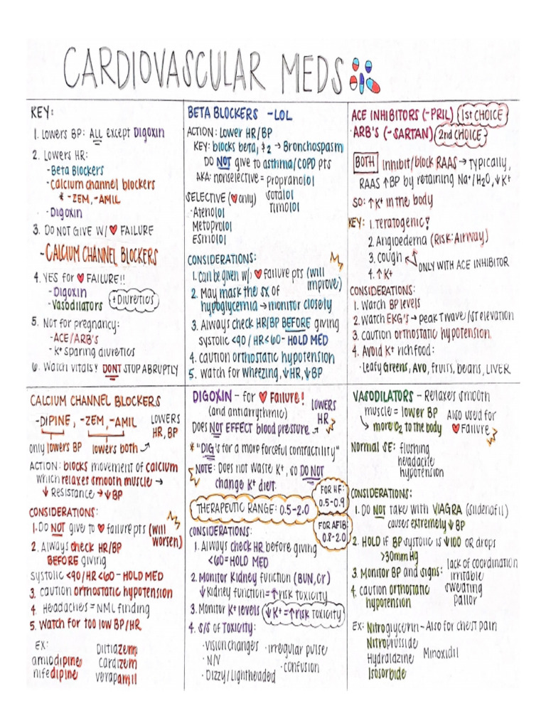 Entire Medication Bundle | PDF