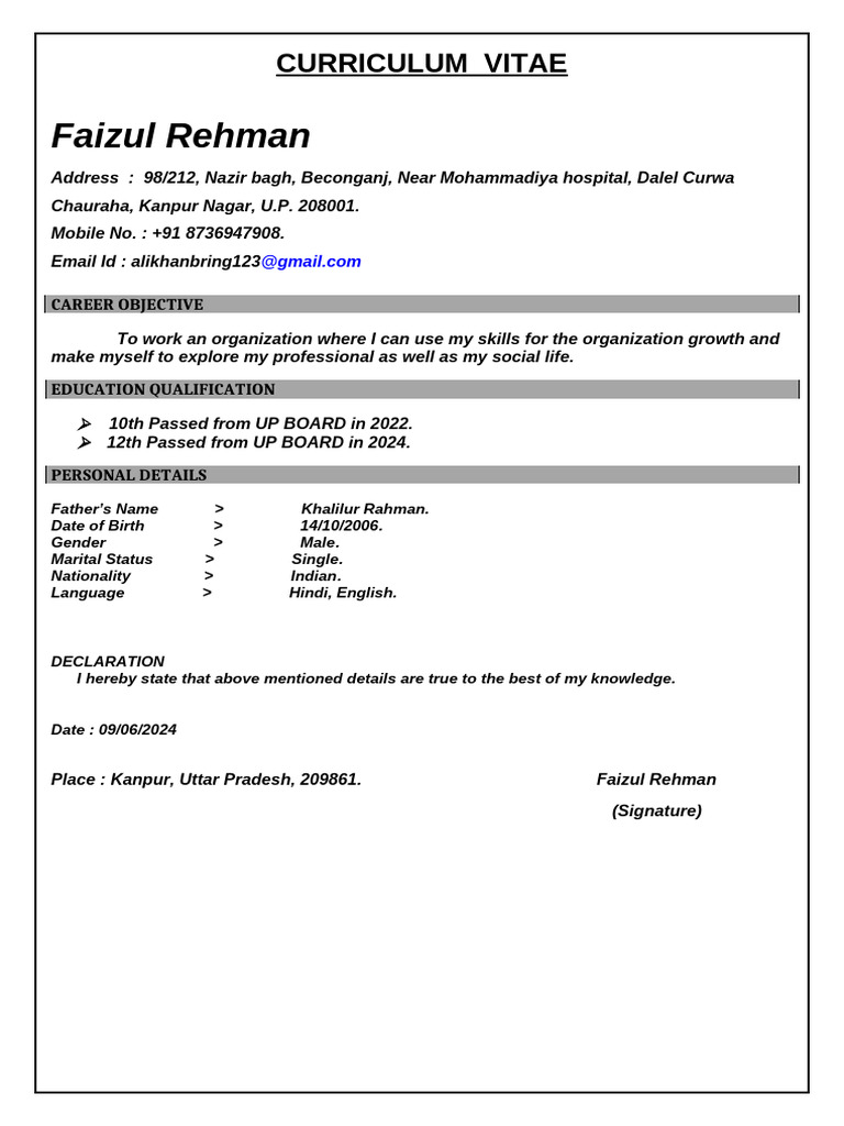 Zeeshan Resume | PDF