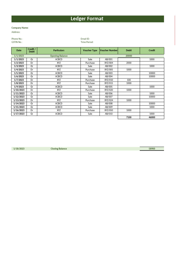 Tally Ledger Format Overview | PDF