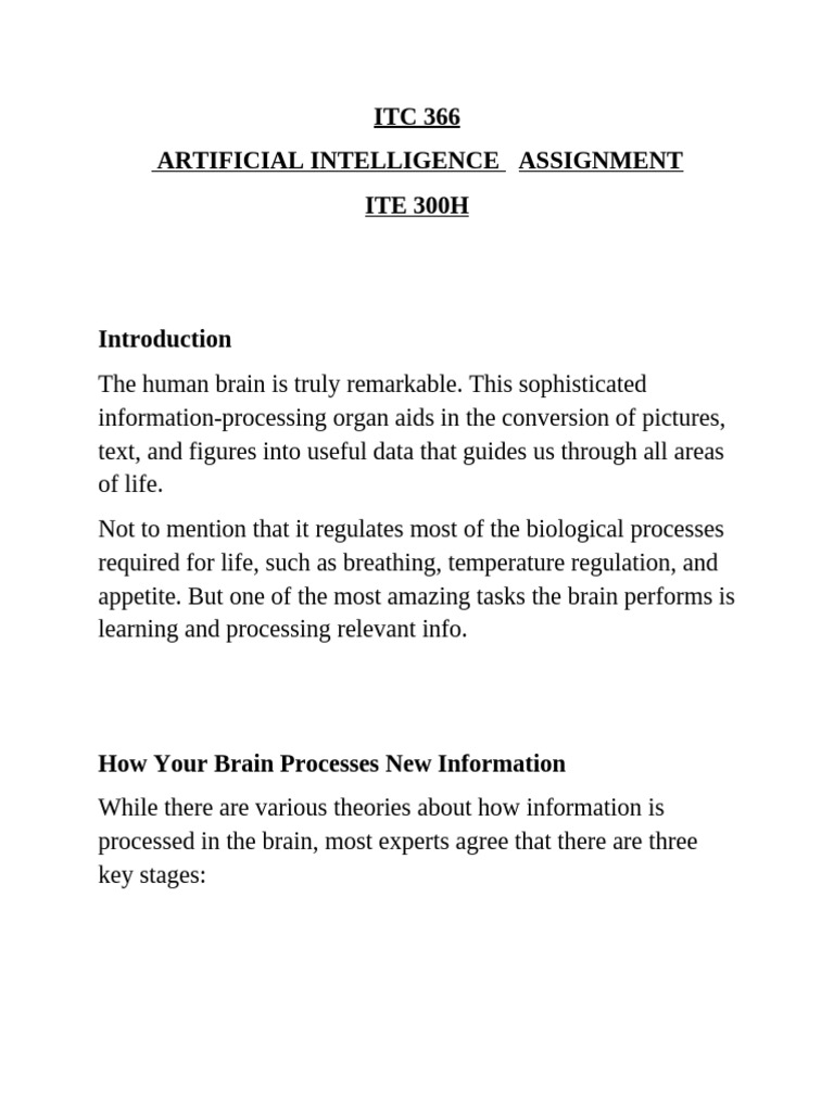 How The Brain Process Information | PDF
