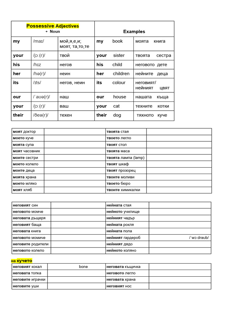 POSSESSIVE ADJECTIVES - Exercise 1 | PDF