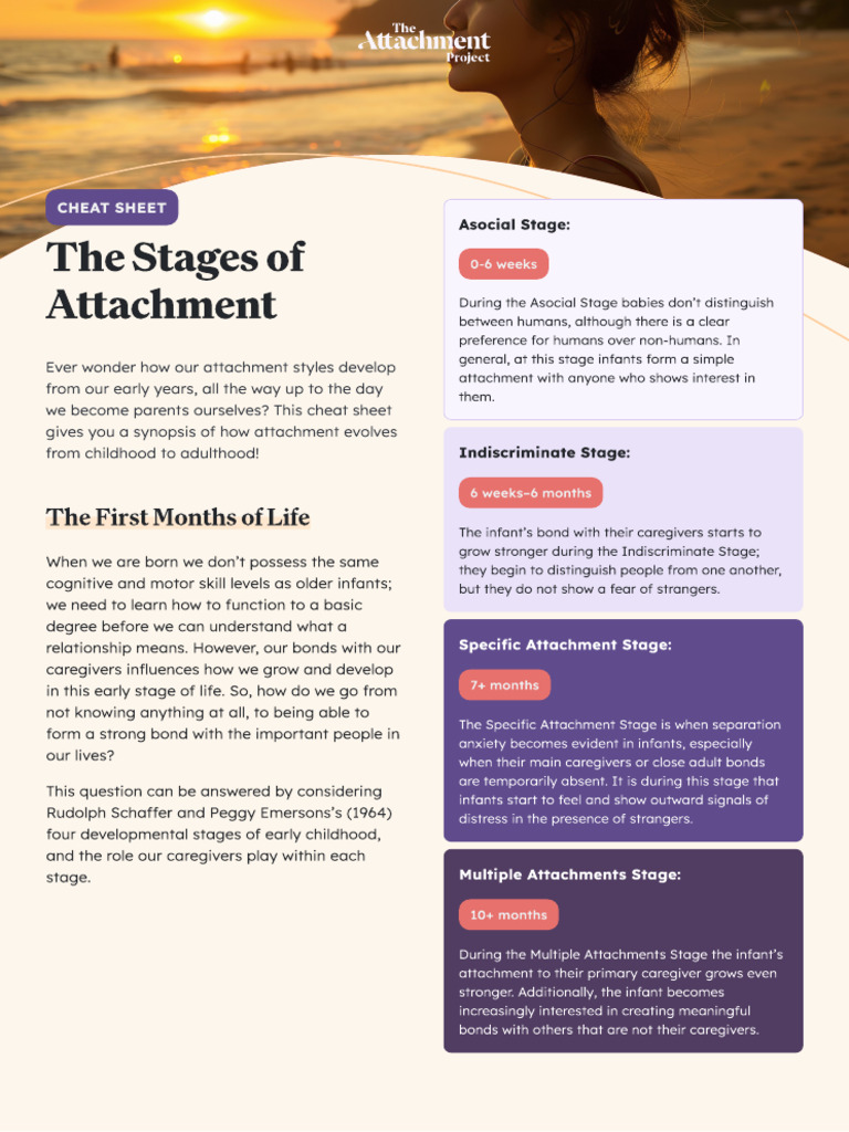 Stages of Attachment Cheatsheet | PDF
