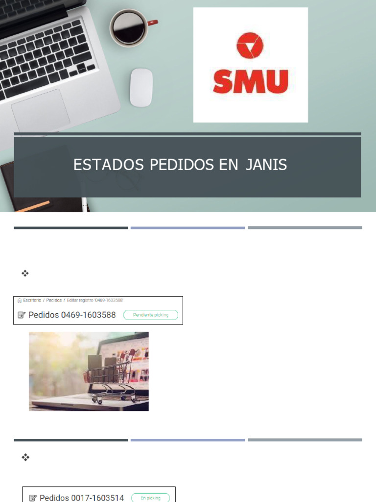 2.2. Estados Pedidos Janis | PDF