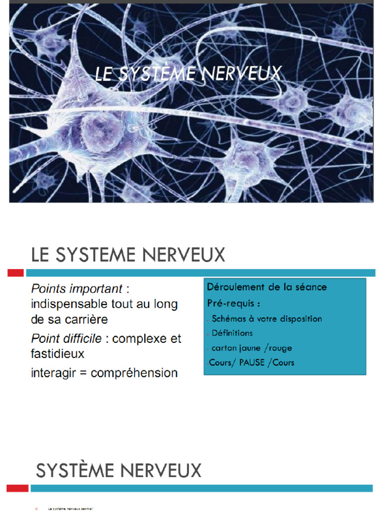 Neuro Istm | PDF