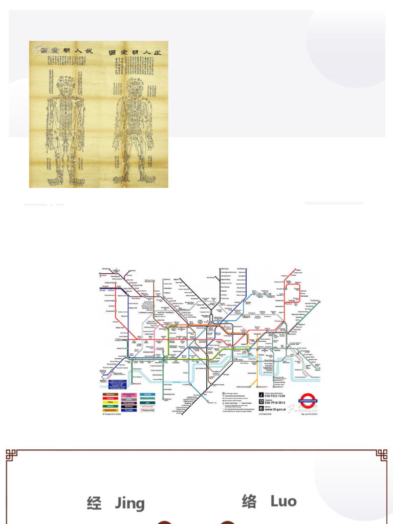 A Brief Introduction of Meridian&acupoint | PDF | Meridian (Chinese ...