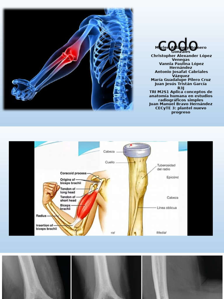 CODO | PDF