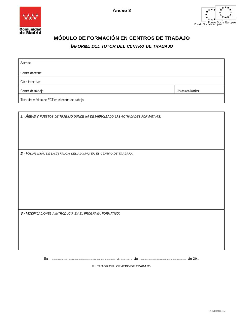 FP Fcts Anexo8 Informe Tutor | PDF