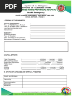 Rapid Damage Assessment and Needs Analysis Initial Report | PDF ...