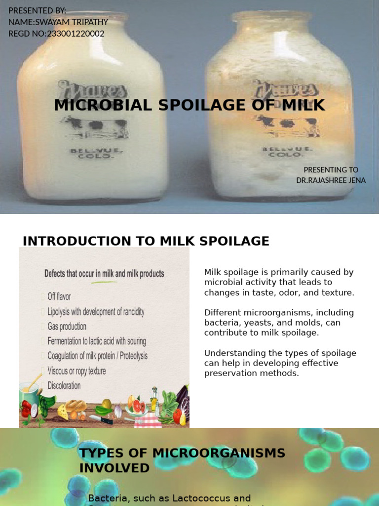Microbial Spoilage of Milk | PDF | Milk | Microorganism