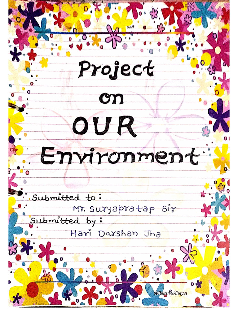 Class 10th Science Project File Our Environment | PDF