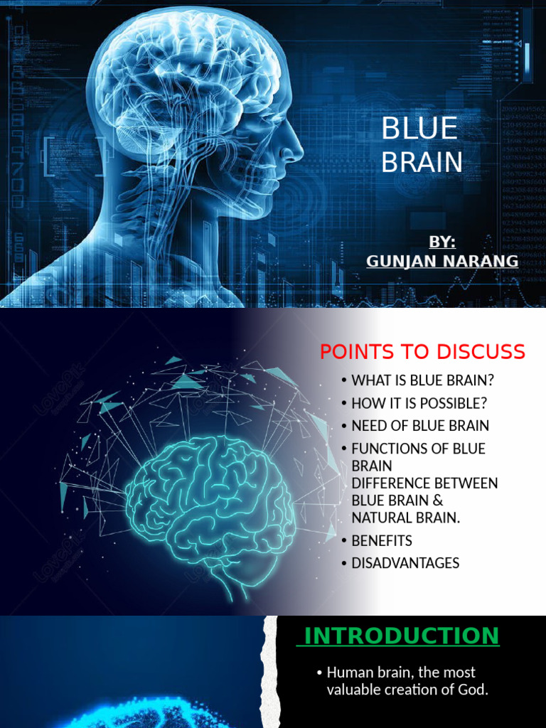 Overview of the Blue Brain Project | PDF | Brain | Memory